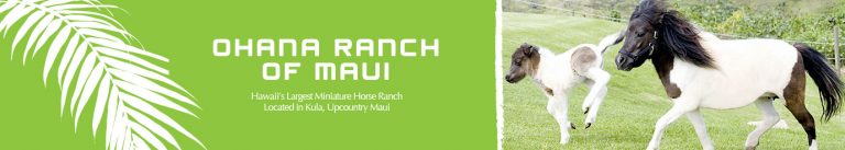 Welcome - Ohana Ranch of Maui
